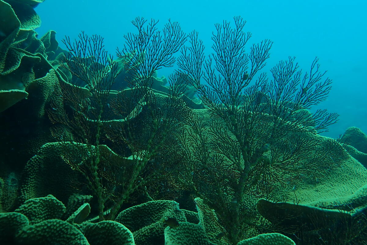 More photos! Fulanga, Fiji » Pitufa.at