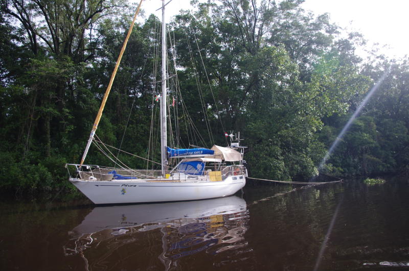 Suriname » Pitufa.at