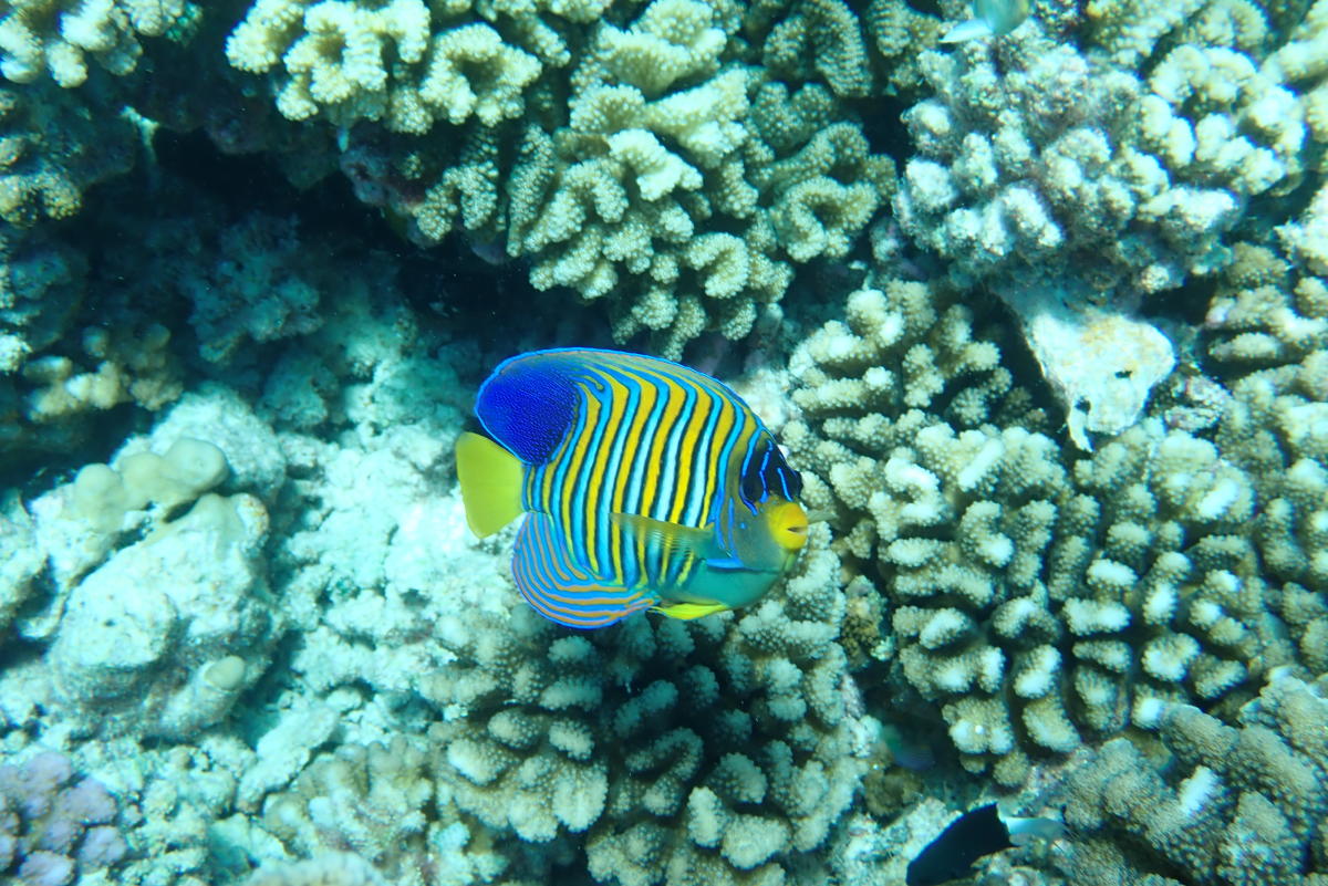 Hot and humid » Pitufa.at